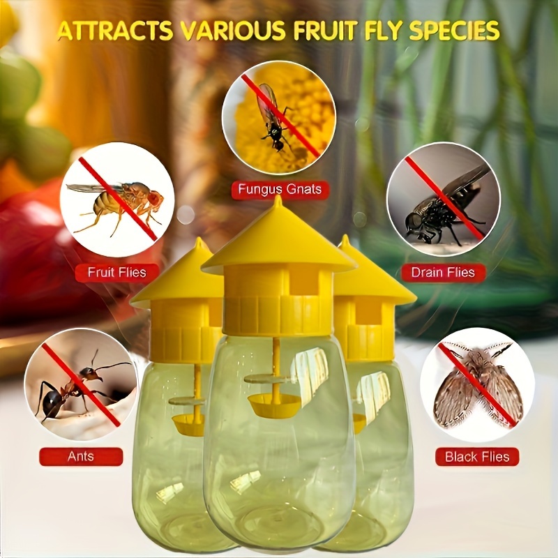 Best flying insect trap store