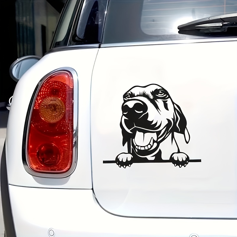 peeking dog beagle pup hound decal vinyl car sticker - Temu Australia