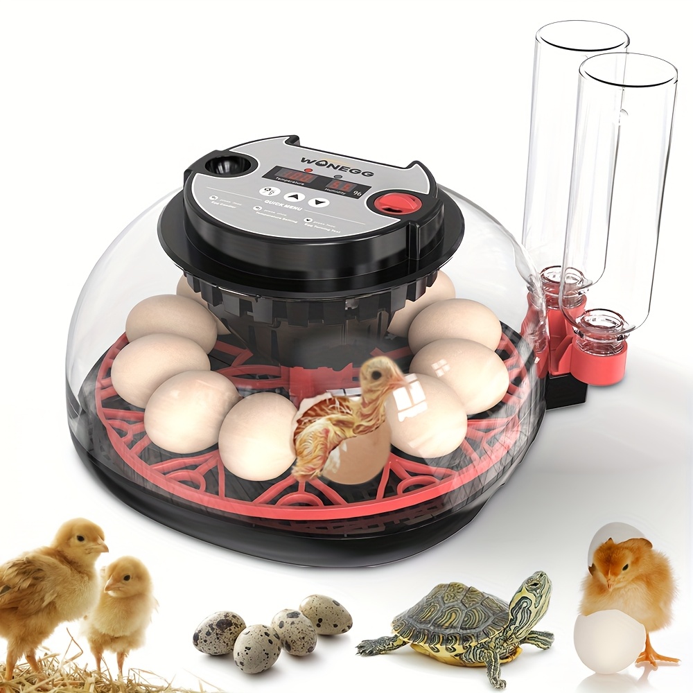 egg incubators sold on Temu United States