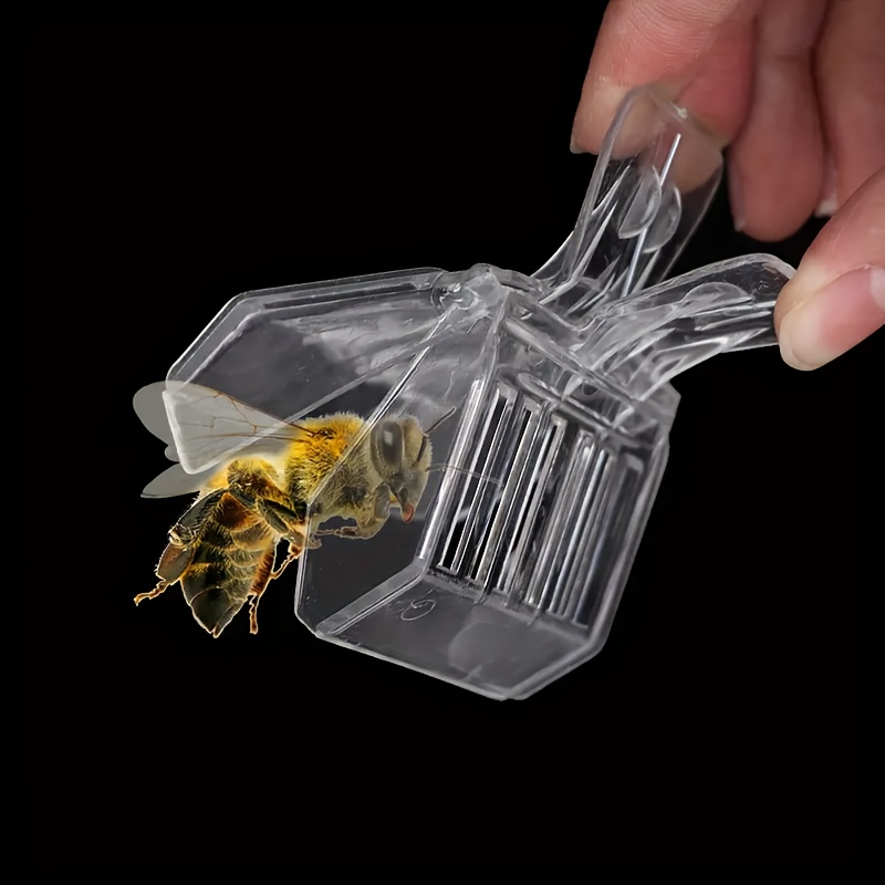 bee keeping - United Kingdom