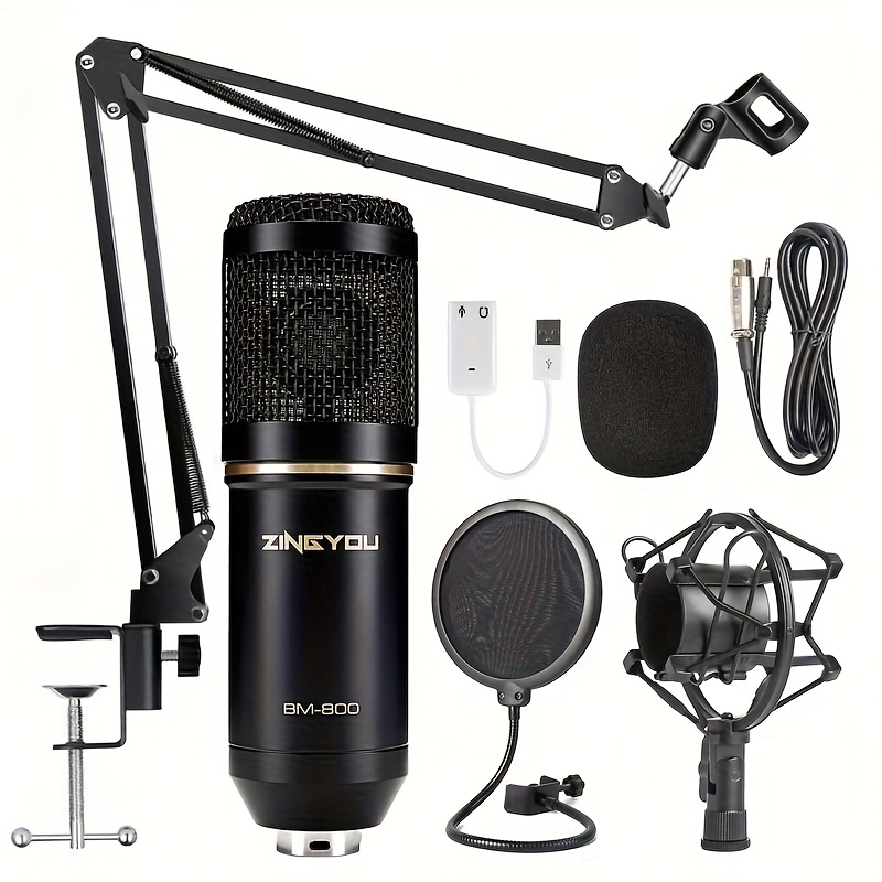 microphone sold on Temu United States