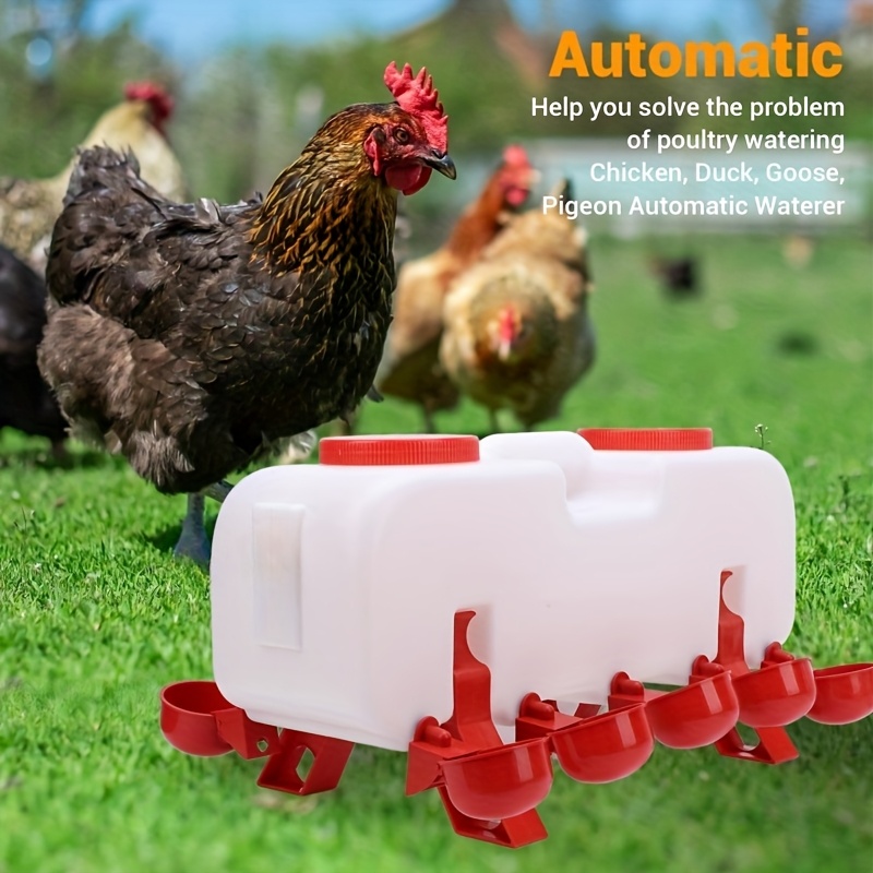 8 Cup Chicken Waterer With PVC Pipe Complete Automatic Chicken Waterer ...