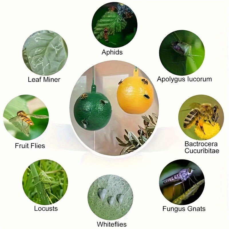 Sticky Fly Trap Balls Cute Ball Design Home Garden Outdoor - Temu Germany