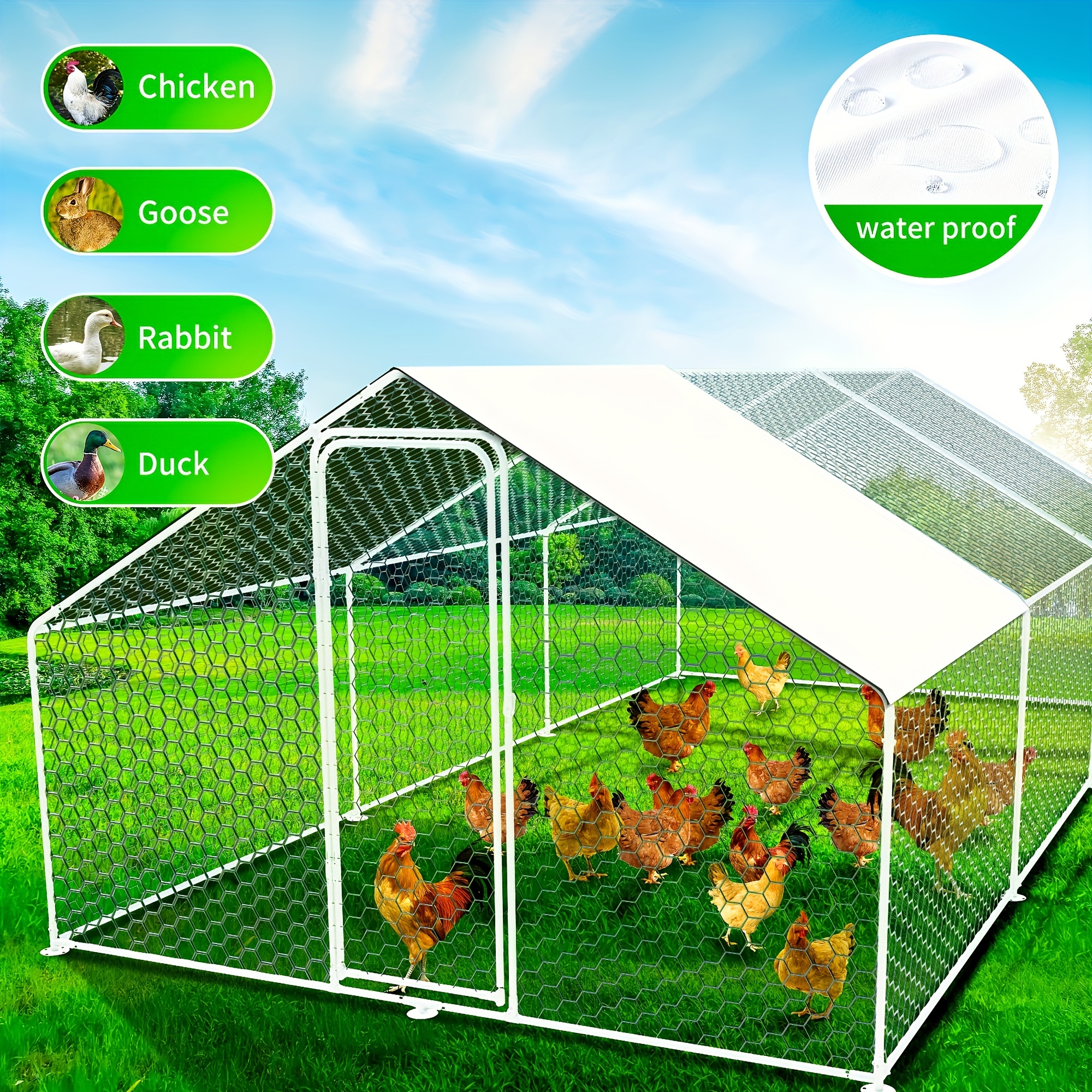 chicken coop sold on Temu United States
