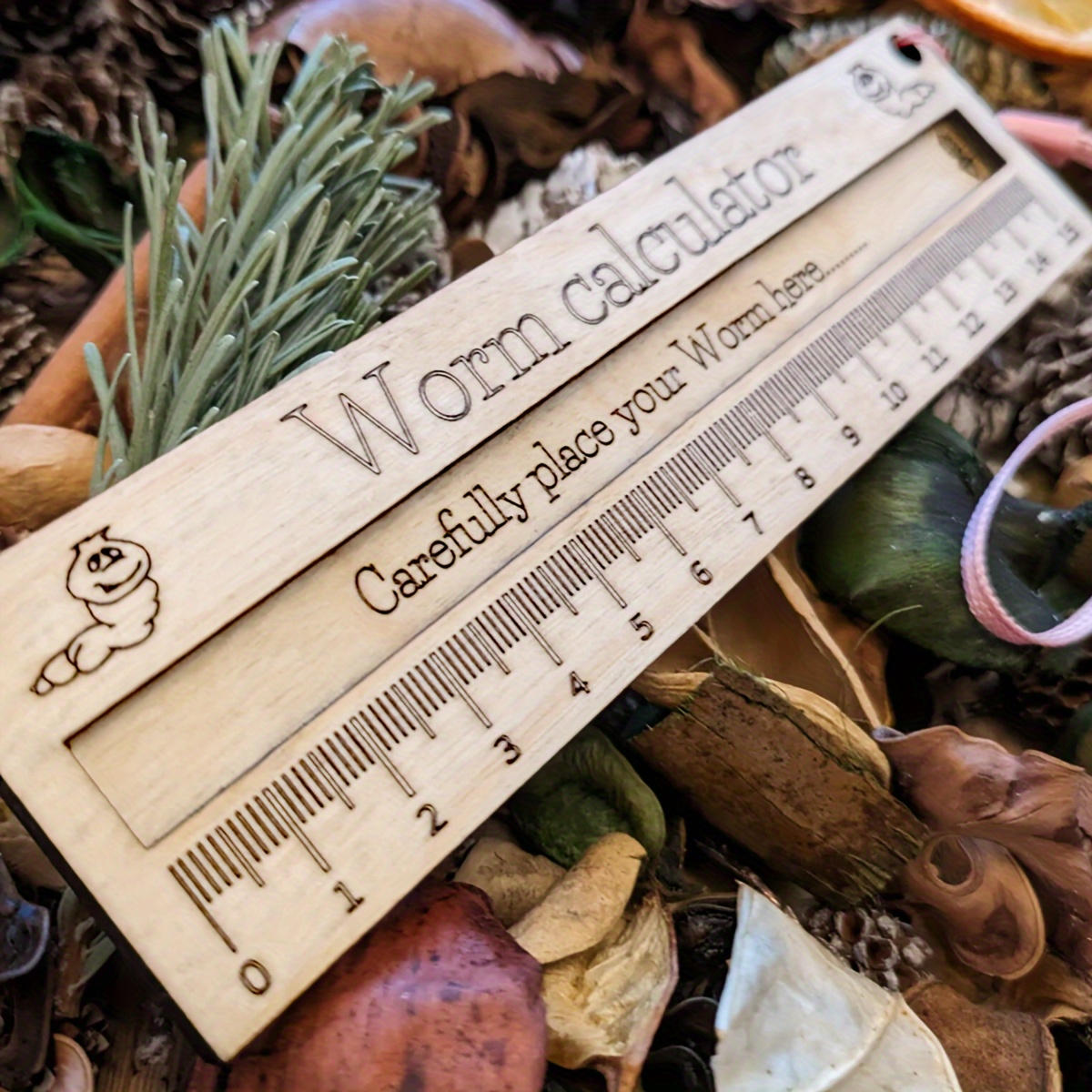 Wooden Worm Calculator Ruler: Perfect Measuring Insects - Temu