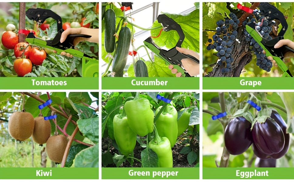 Plant Tying Machine lightweight Plant Tape Gun Tie Tomatoes - Temu