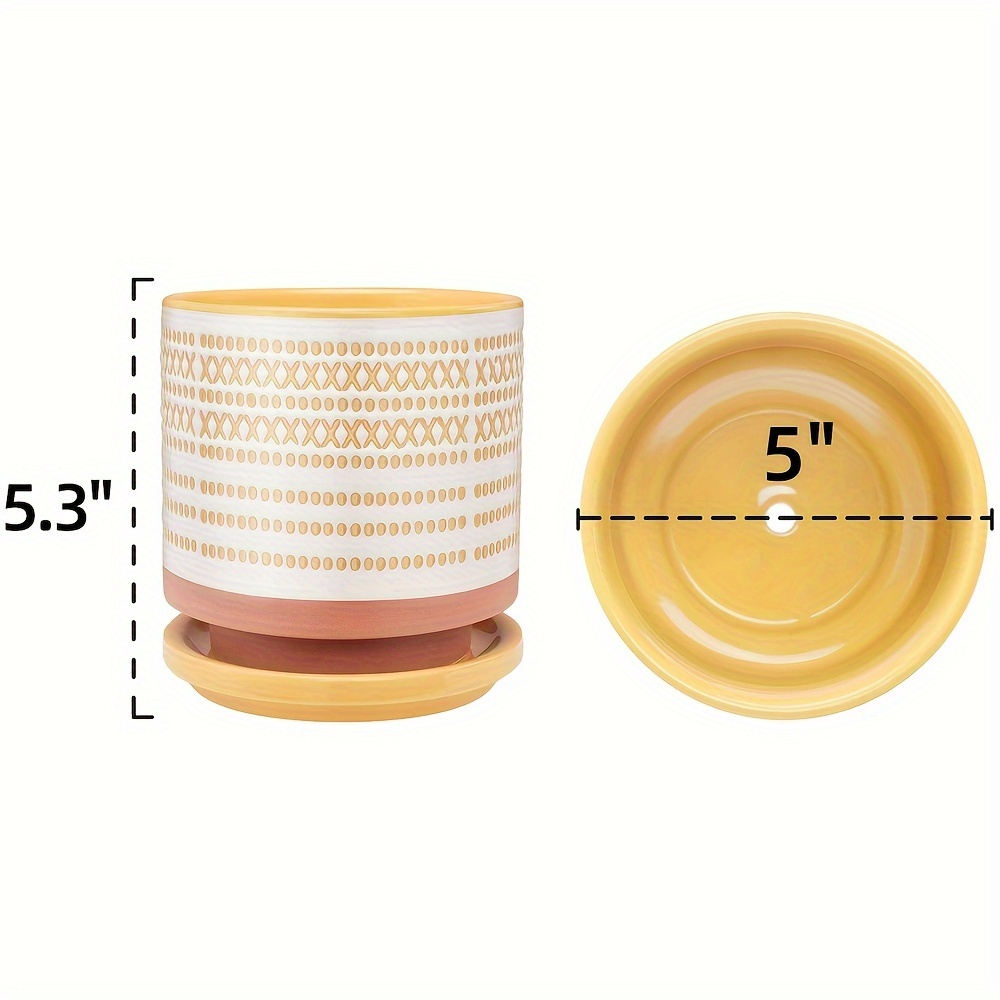 2 Succulent Pots, 5'' Ceramic Planter Plant Pot With Porcelain Tray ...