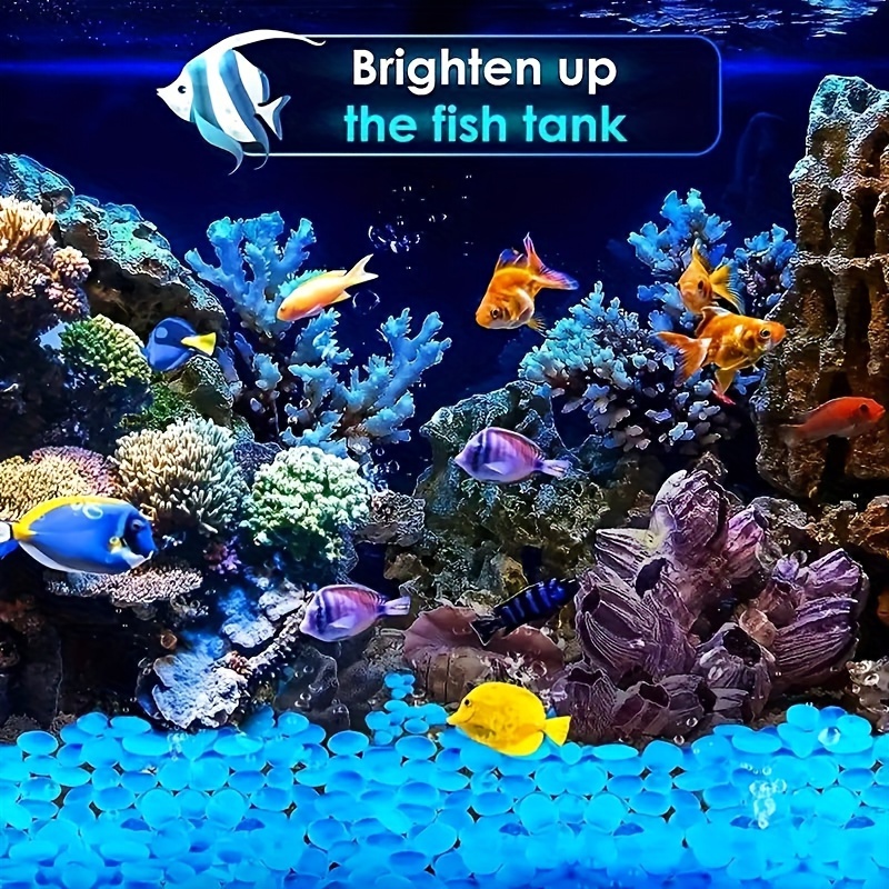 100 Glow-in-the-dark Mini Pebbles For Gardens & Aquariums - Perfect For ...