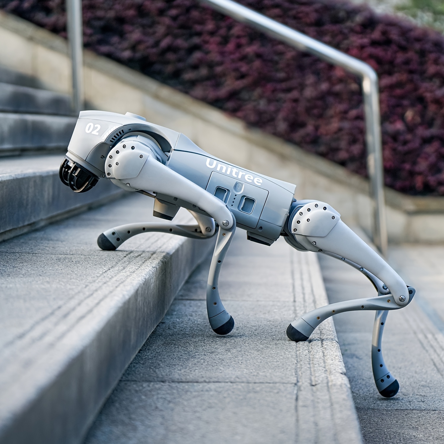 robot dogs sold on Temu United States