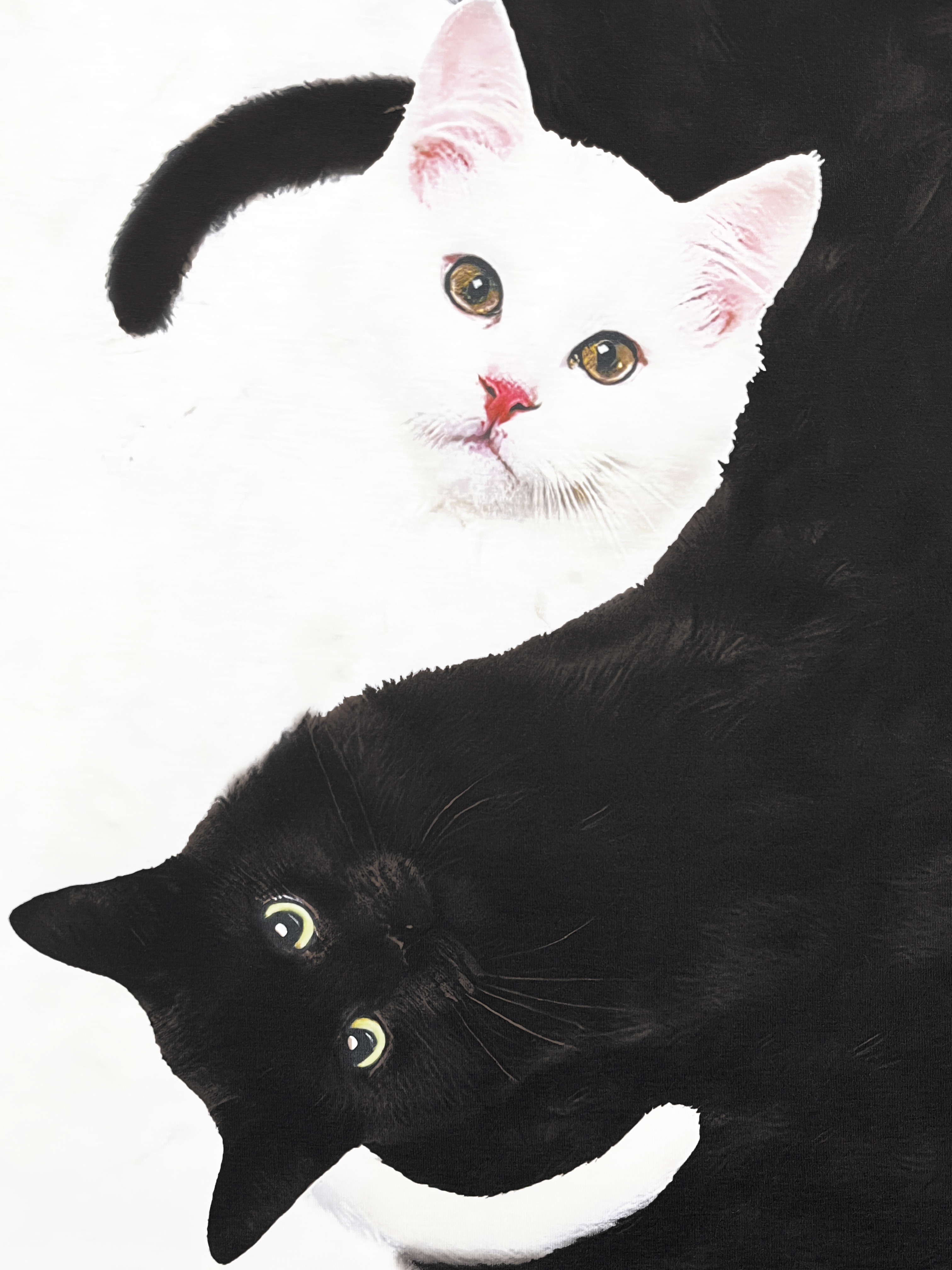 Cat Print Crew Neck T shirt Casual Long Sleeve Top Spring - Temu Canada