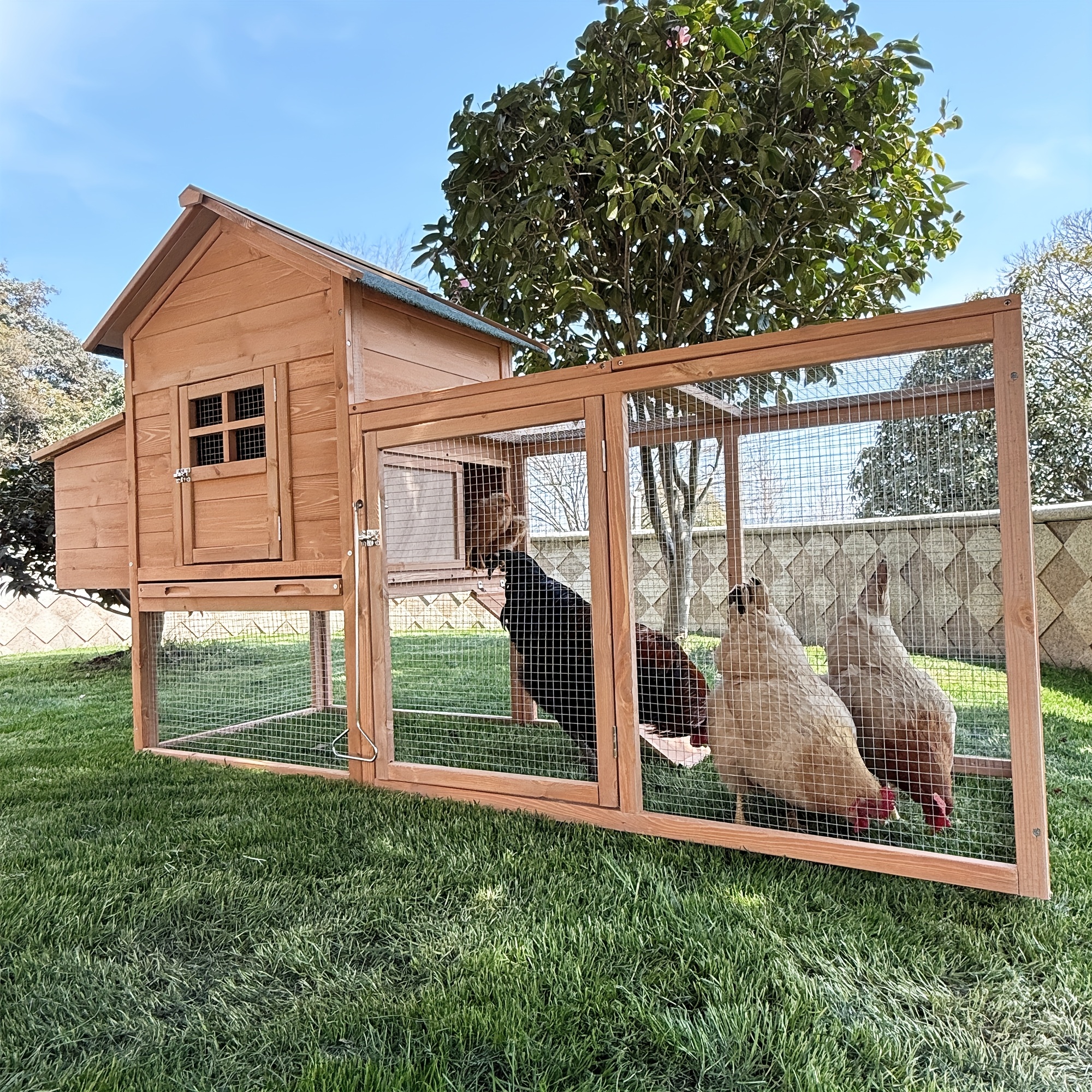 chicken coop sold on Temu United States