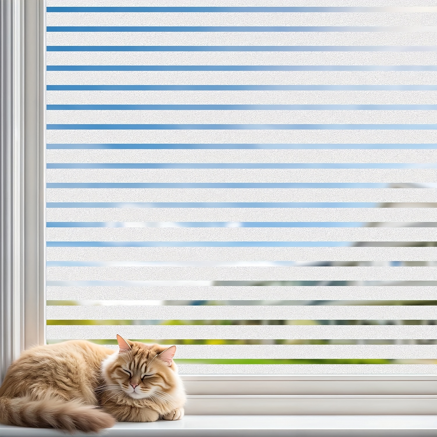 window privacy - Kuwait