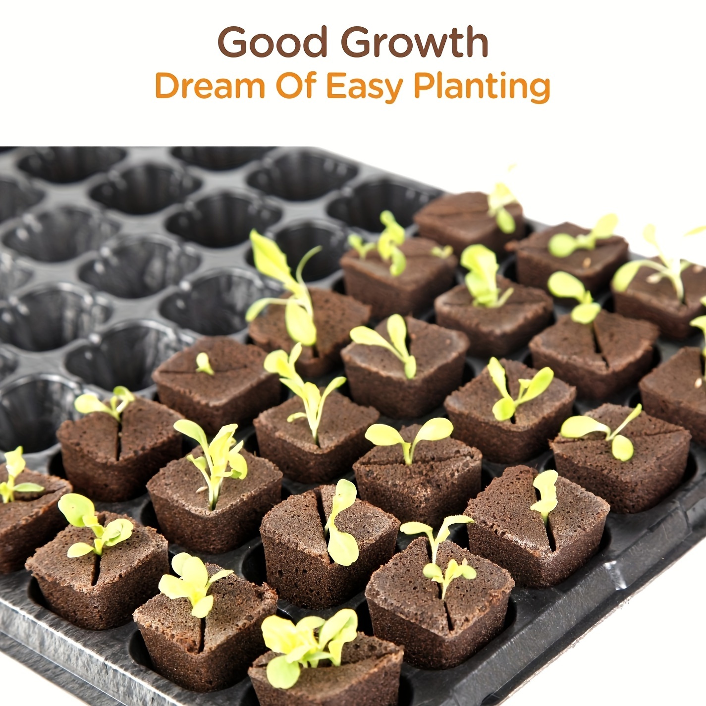 Seed Starter Plugs Quick Rooting Plugs Plant Starter Sponge - Temu ...