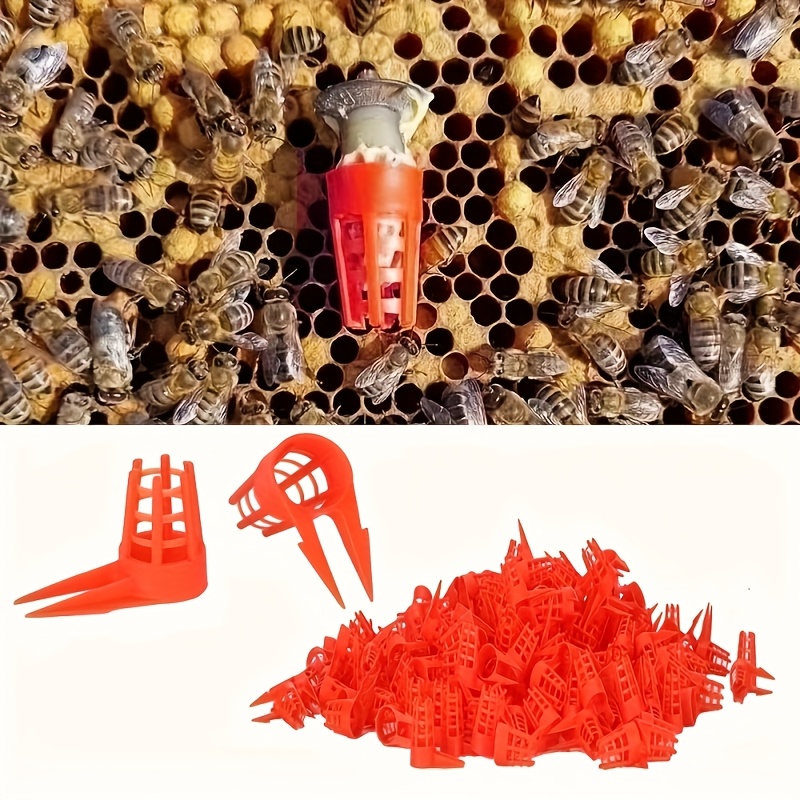 bee keeping tools and equipment sold on Temu United States