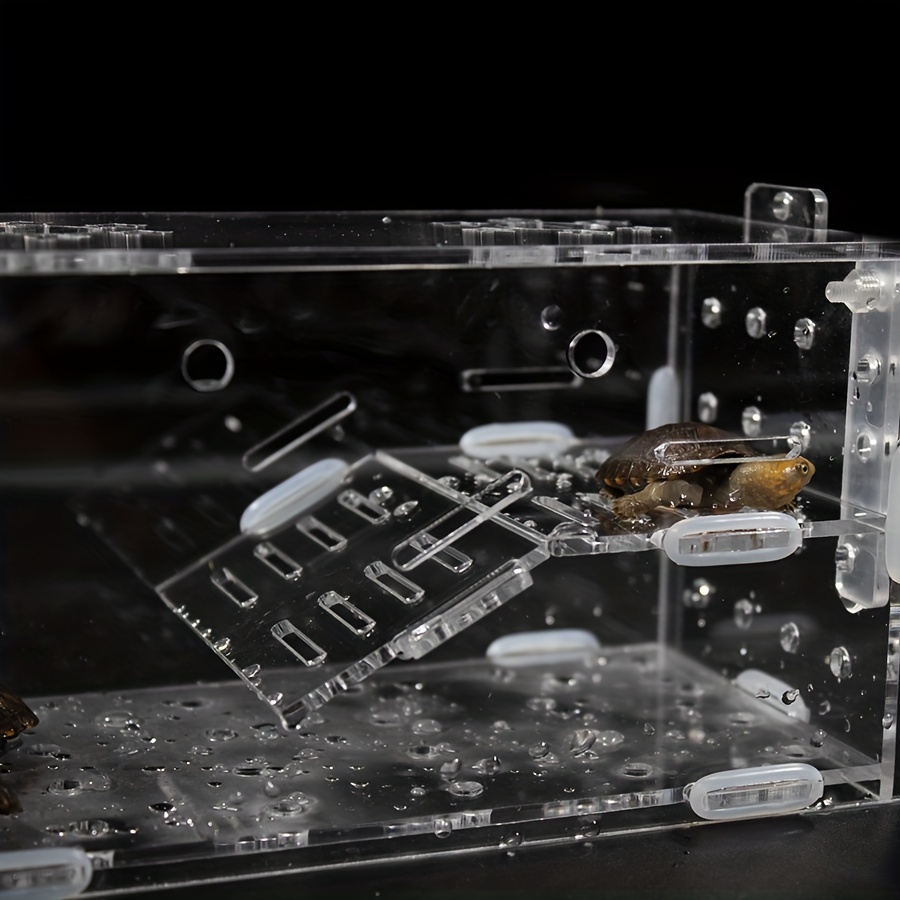 Acrylic Turtle Isolation Box Sunbathing Platform Large - Temu United ...