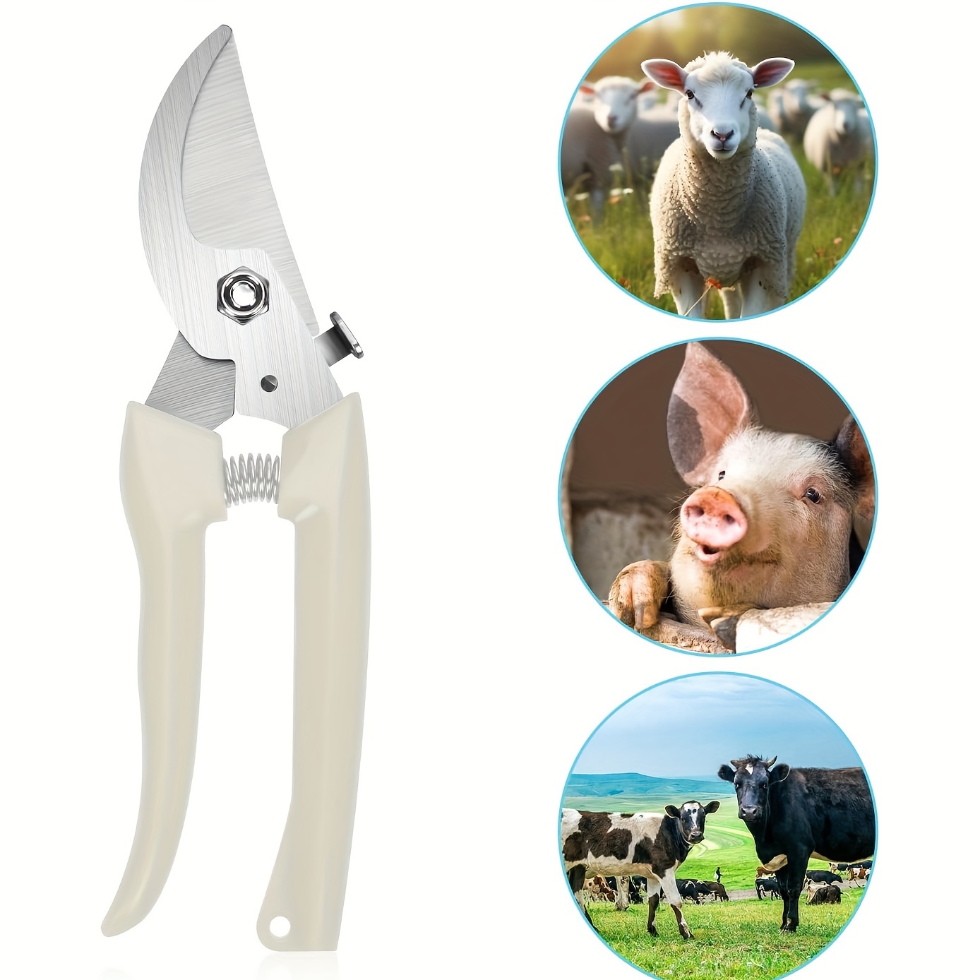 Stainless Steel Hoof Trimming Kit Horses – Curved - Temu United