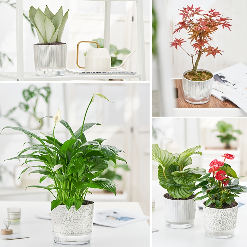 self watering plant pots sold on Temu Australia