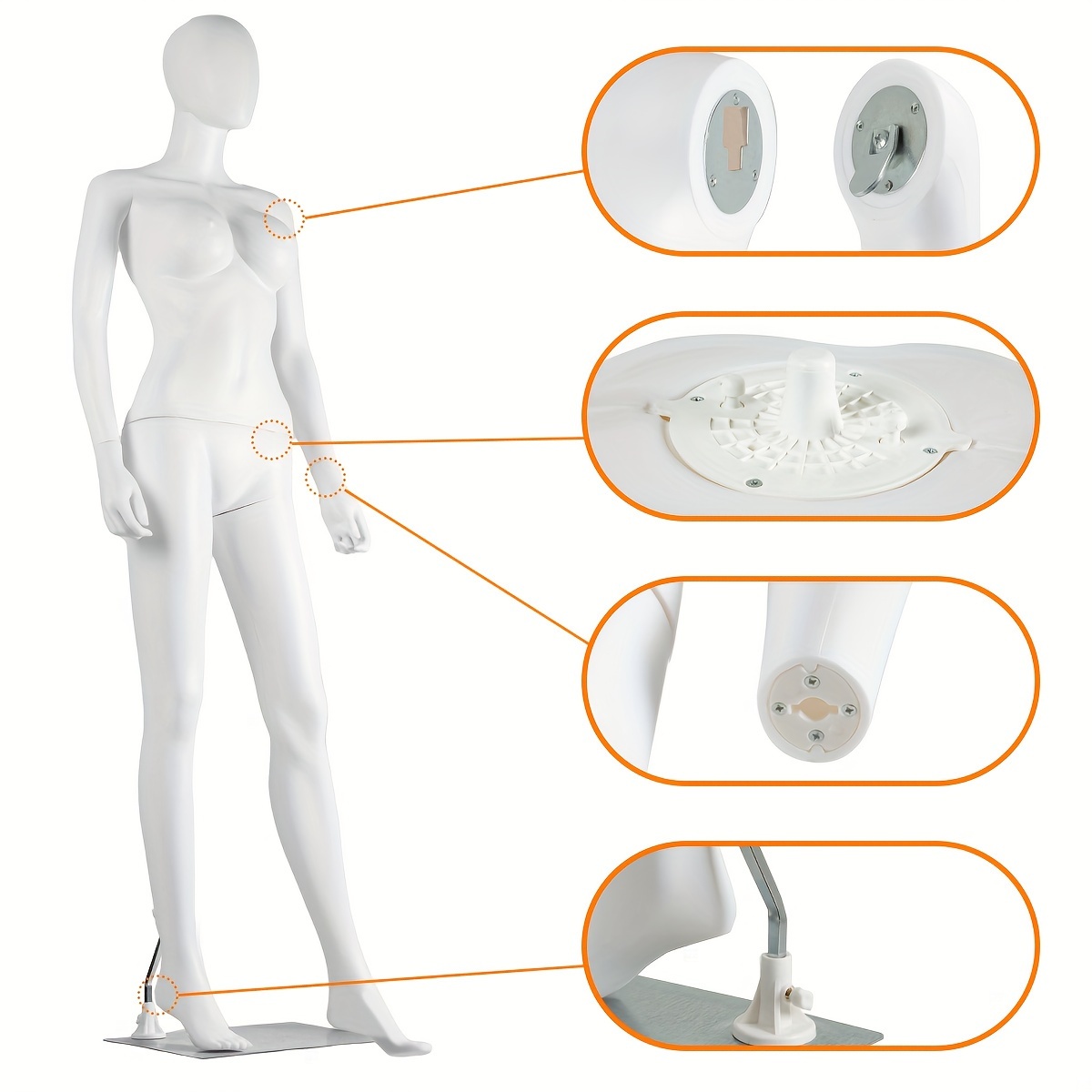 Female Mannequin Torso Dress Form Mannequin Body Adjustable Mannequin ...