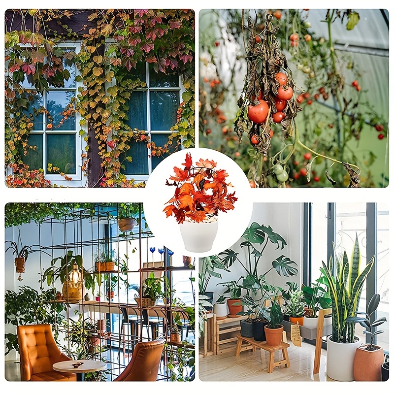 round plant climbing vine stand made sturdy steel black - {region_name}