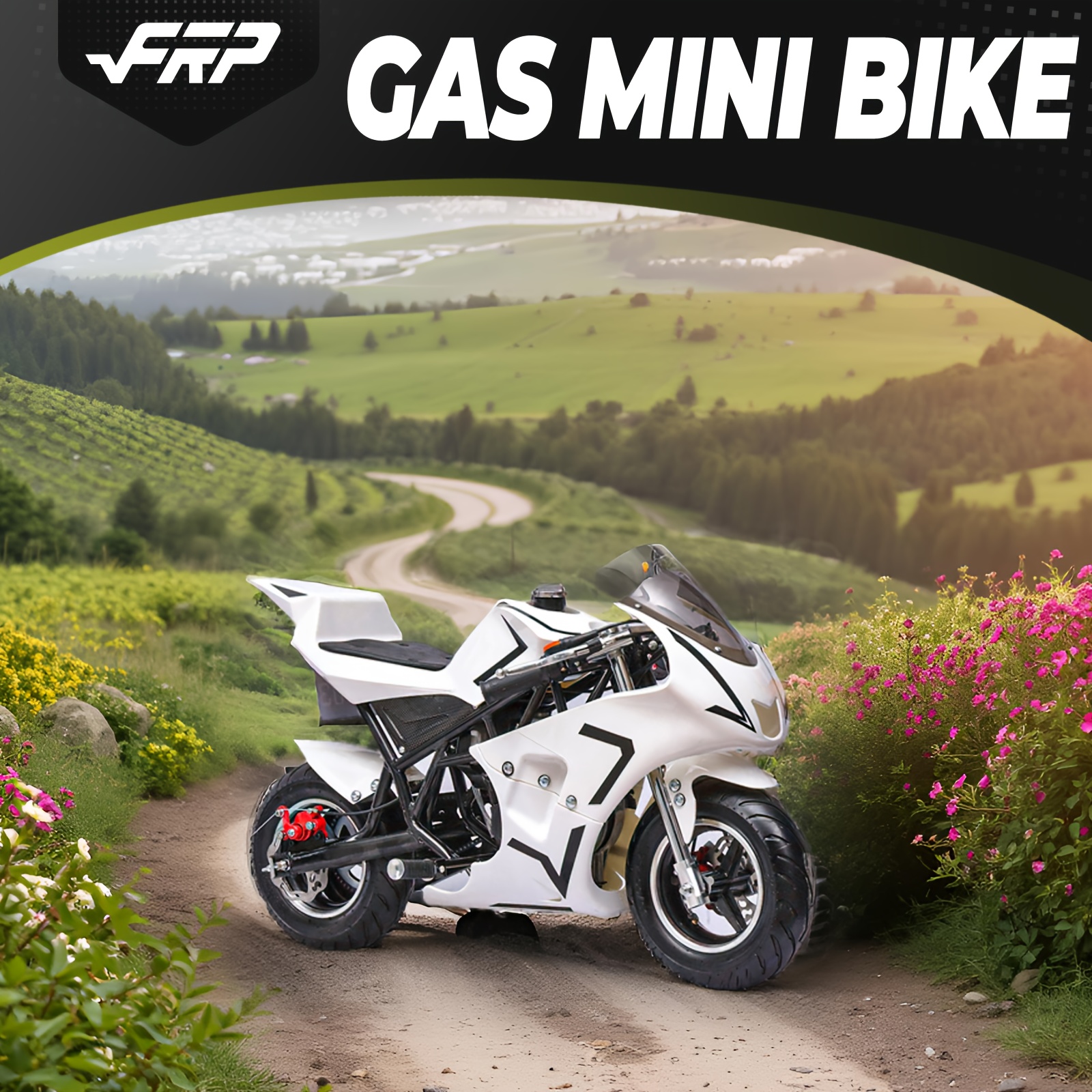 mini bikes sold on Temu United States