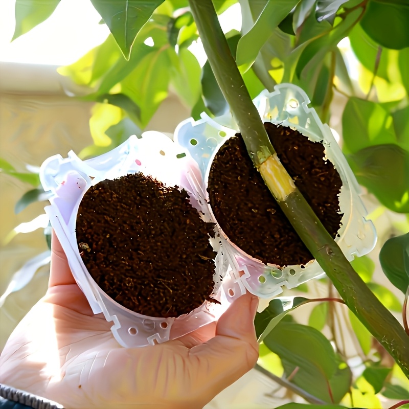 plant kit sold on Temu United States