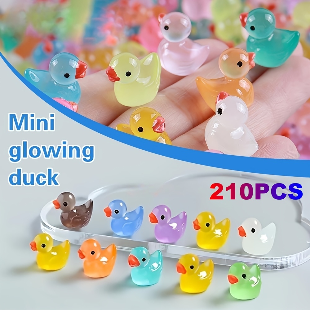 clear ducks sold on Temu United States