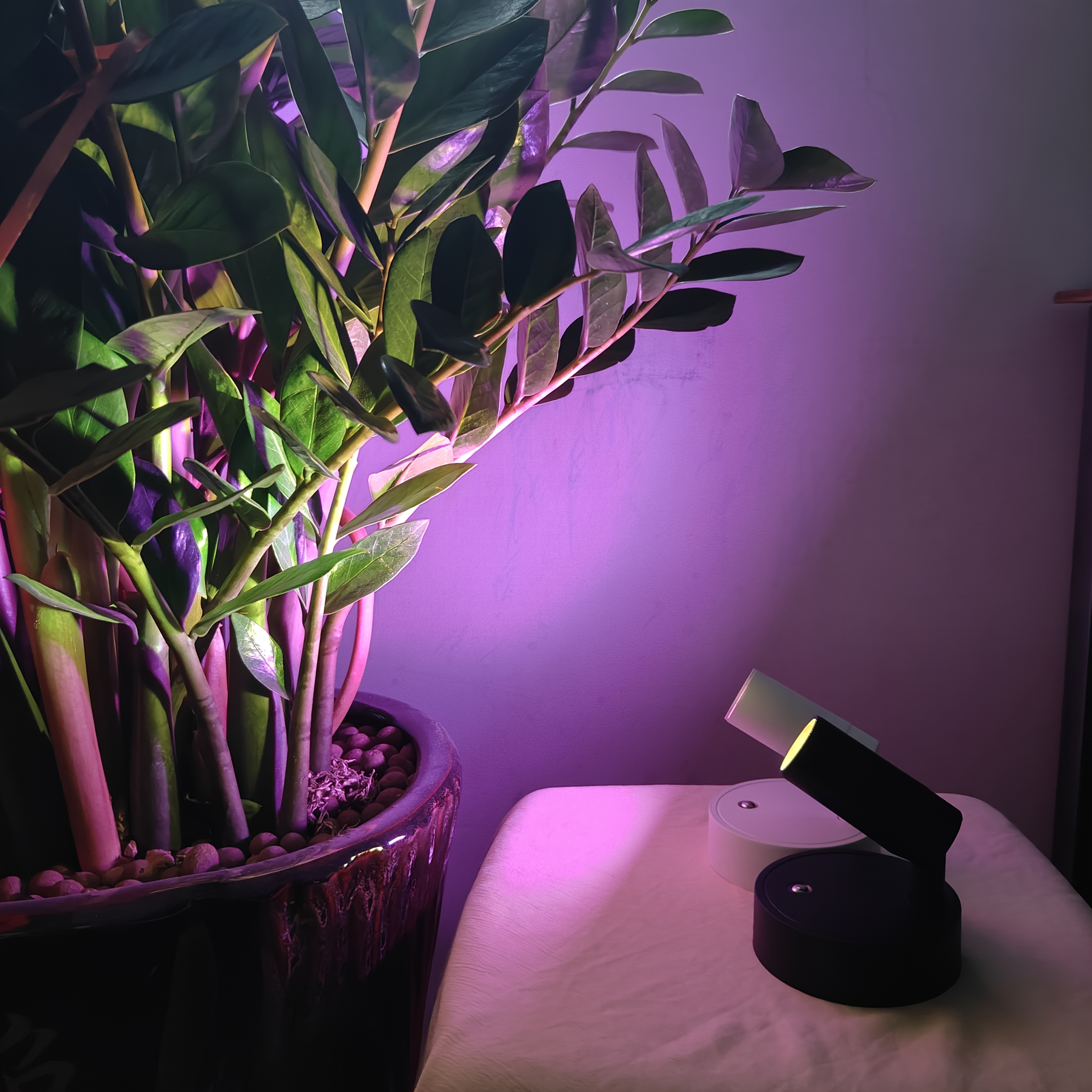 Lighting - Temu United Kingdom