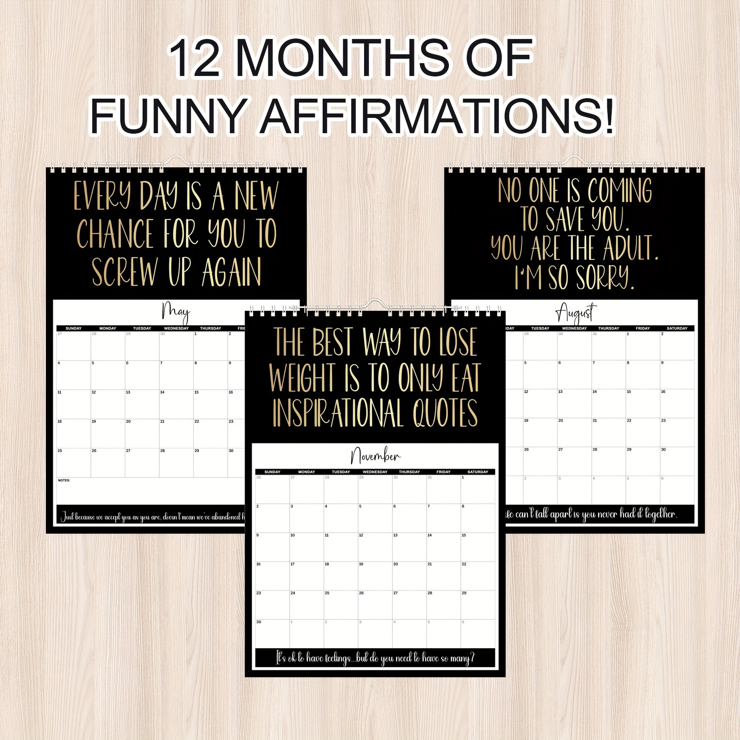 2025 Sarcastic Motivational Wall Calendar Humorous Funny - Temu Australia