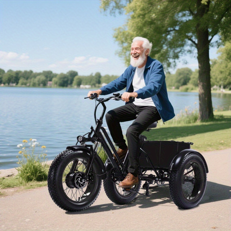 electric adult tricycle sold on Temu United States