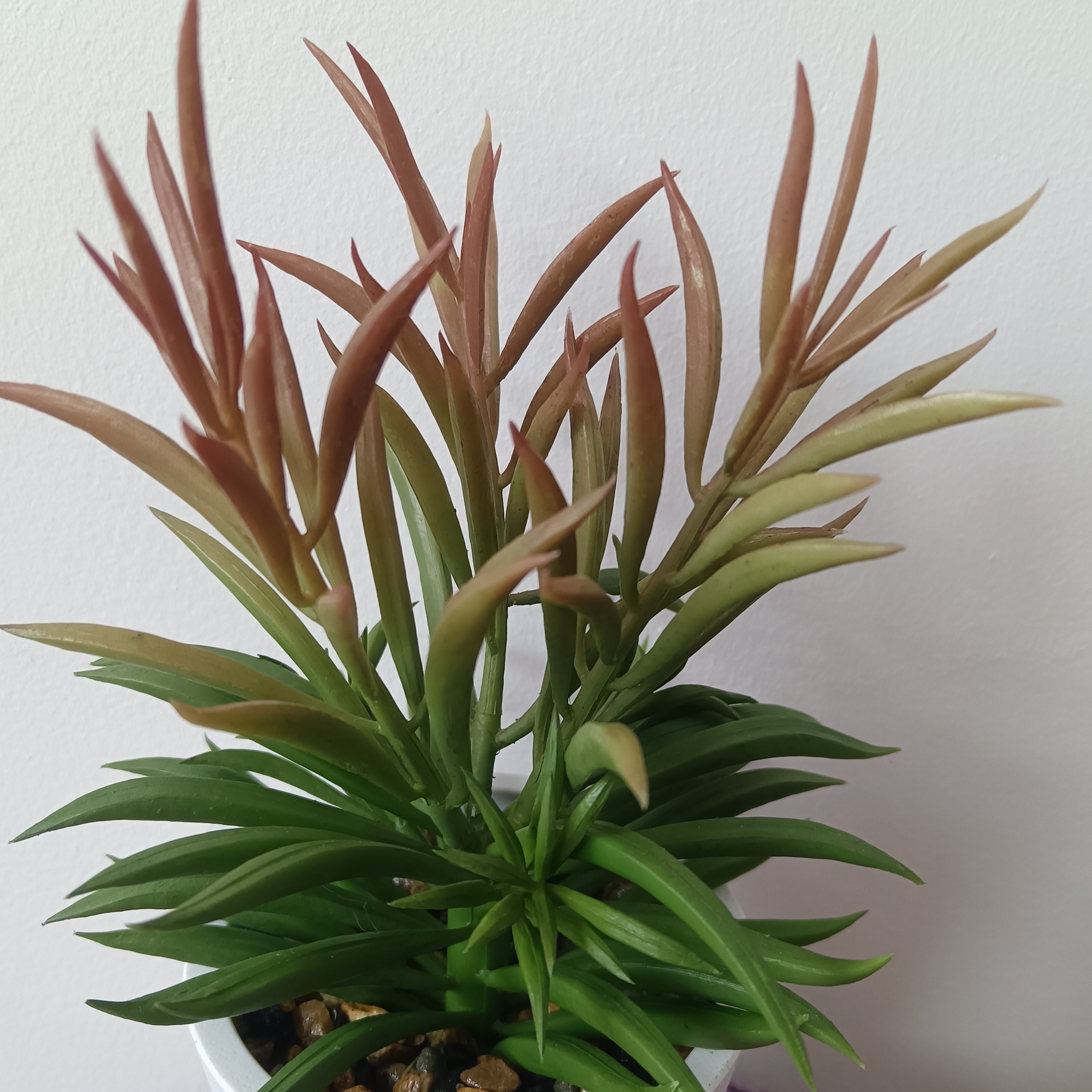 "miniature" Premium Faux Sword Grass Bonsai - Realistic Artificial ...