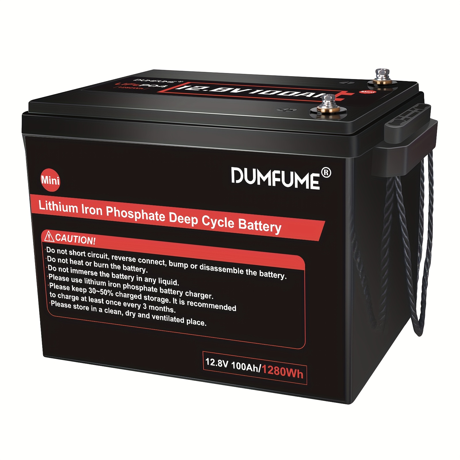 lithium batteries sold on Temu United States