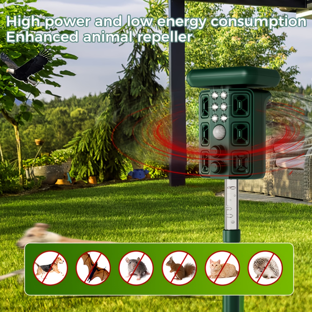 rodent sensor - Maldives