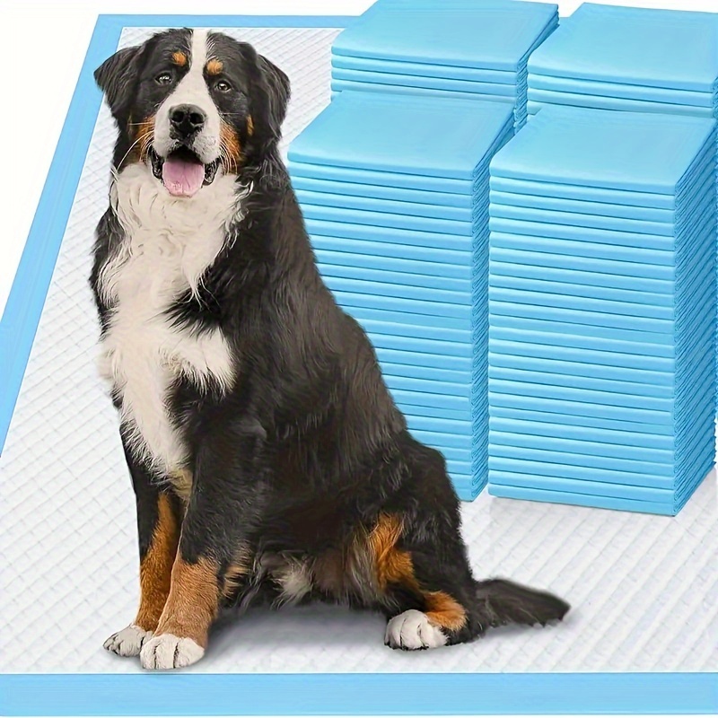 Extra-large Leak-proof Dog Training Pads & Thick Poop Bags Set - 40 ...