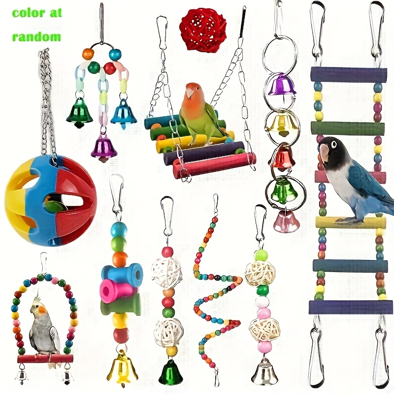 parakeet toys sold on Temu United States