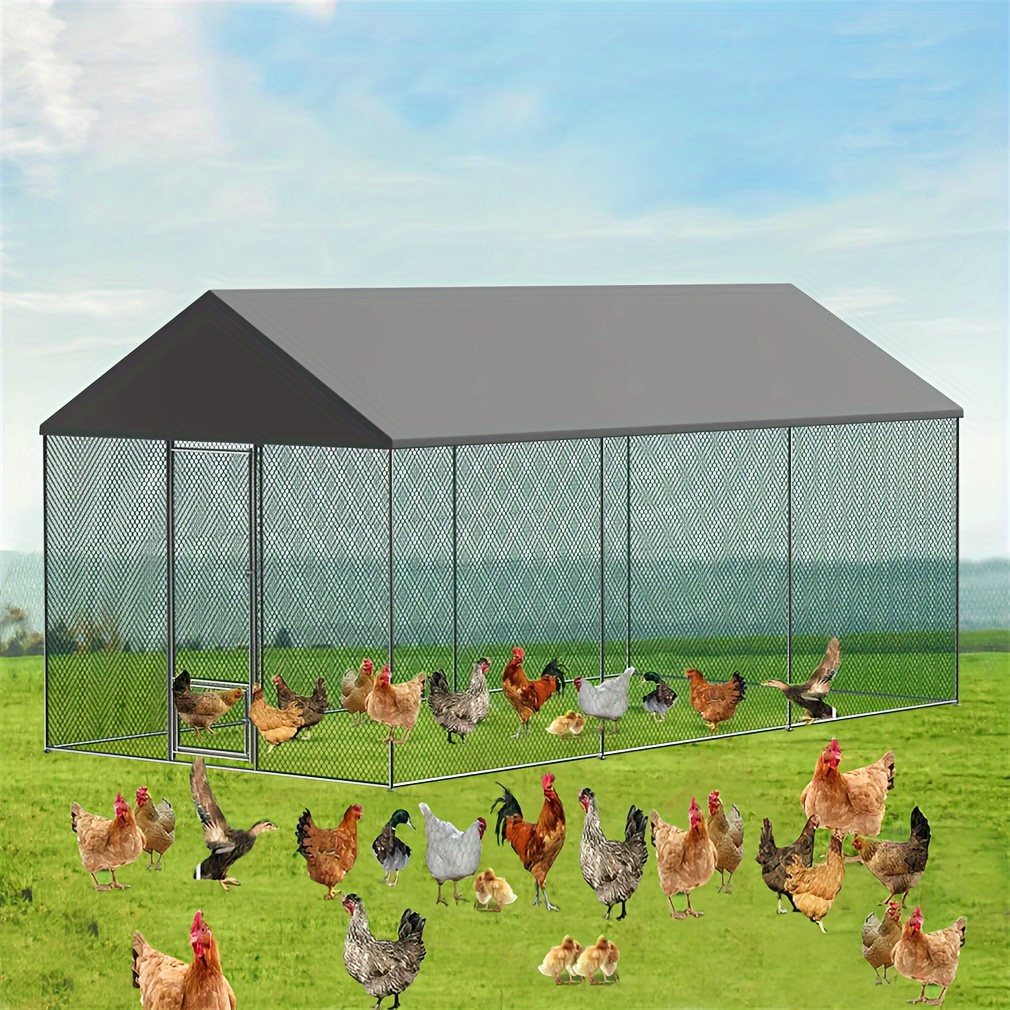 chicken coop sold on Temu United States