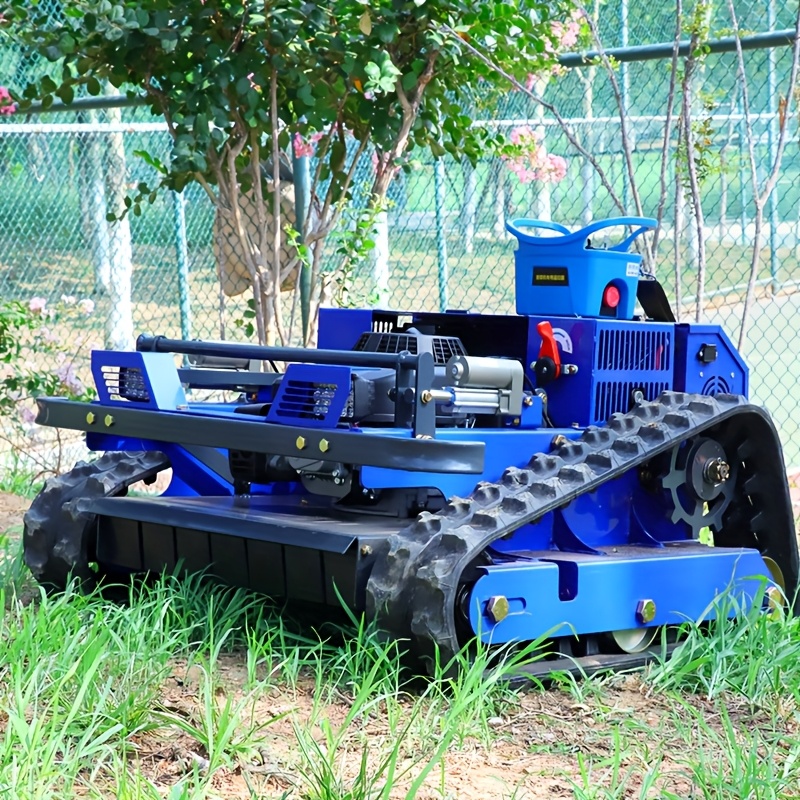 lawn mowers sold on Temu United States