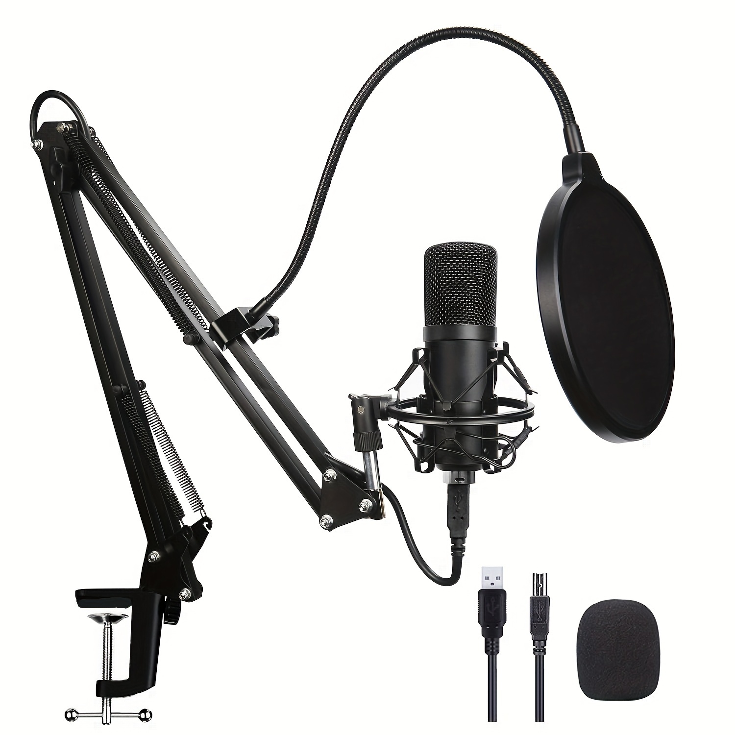 microphone sold on Temu United States