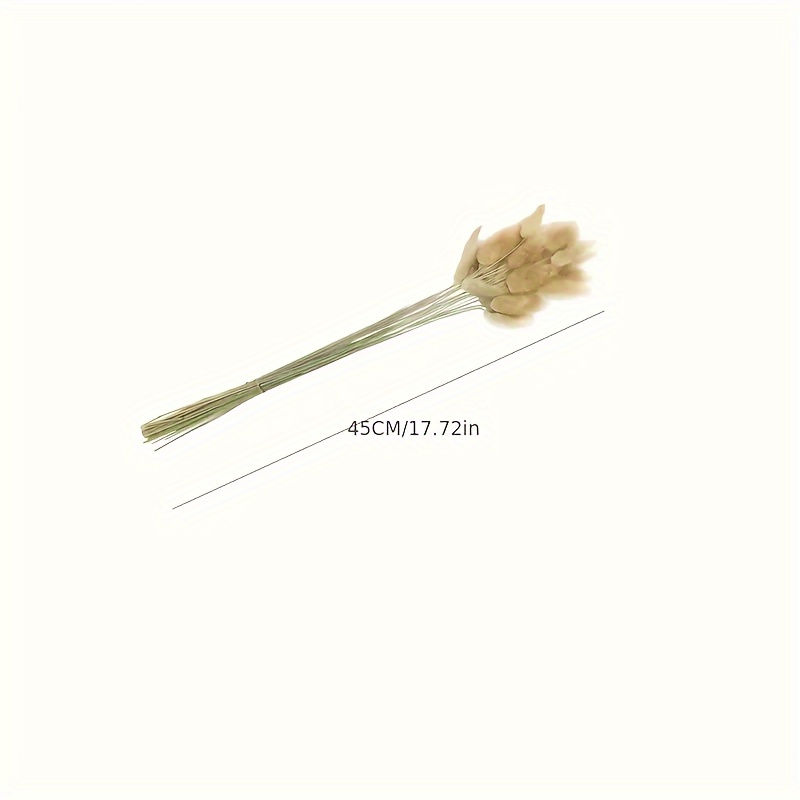 home decoration rabbit tail grass dried flower bouquet - Temu