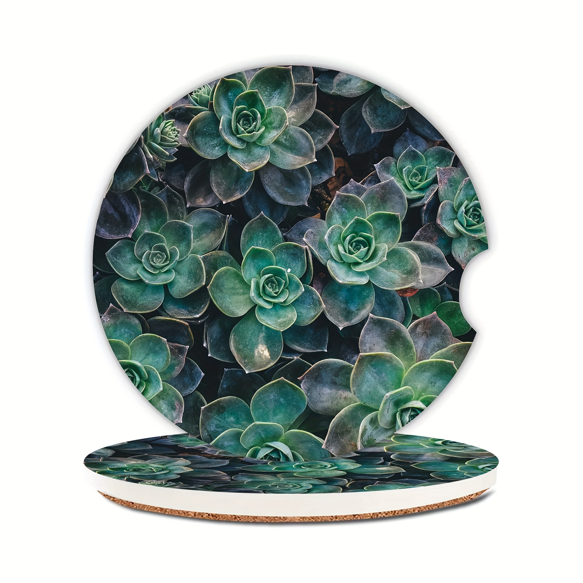 Succulent Floral Plant Flower Car Coasters Ceramic Absorbent - Temu ...