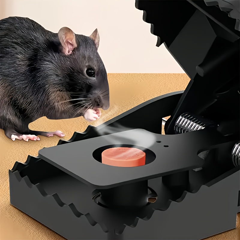 Rat Catcher