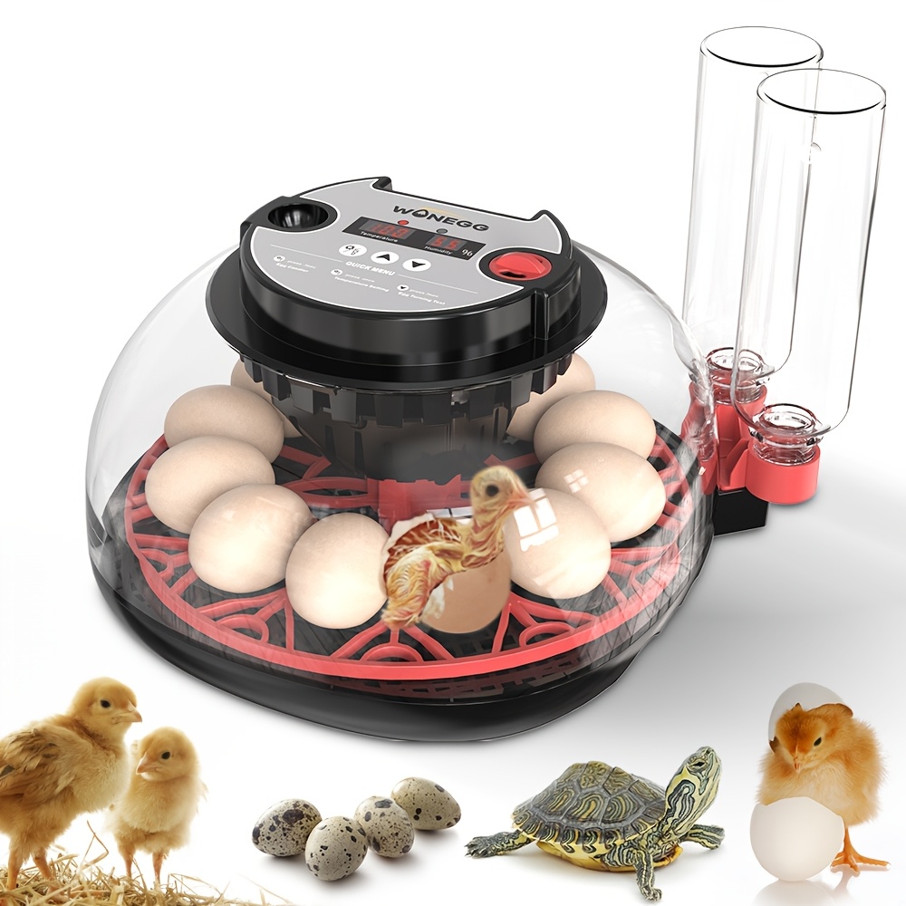 egg incubators sold on Temu United States