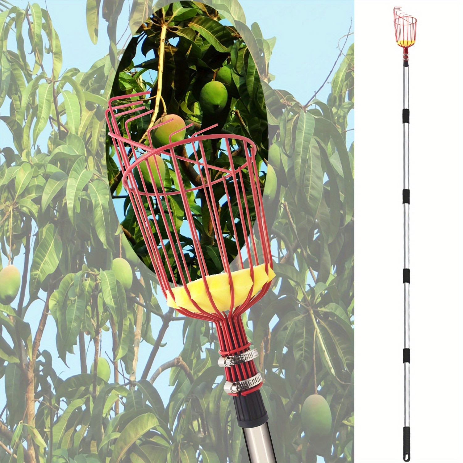 Grabber Reacher Tool Heavy Duty Buy 1 Free 6 -Fruit Picker Fruit Picker ...