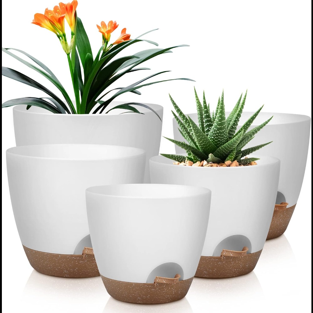 planter pots sold on Temu United States