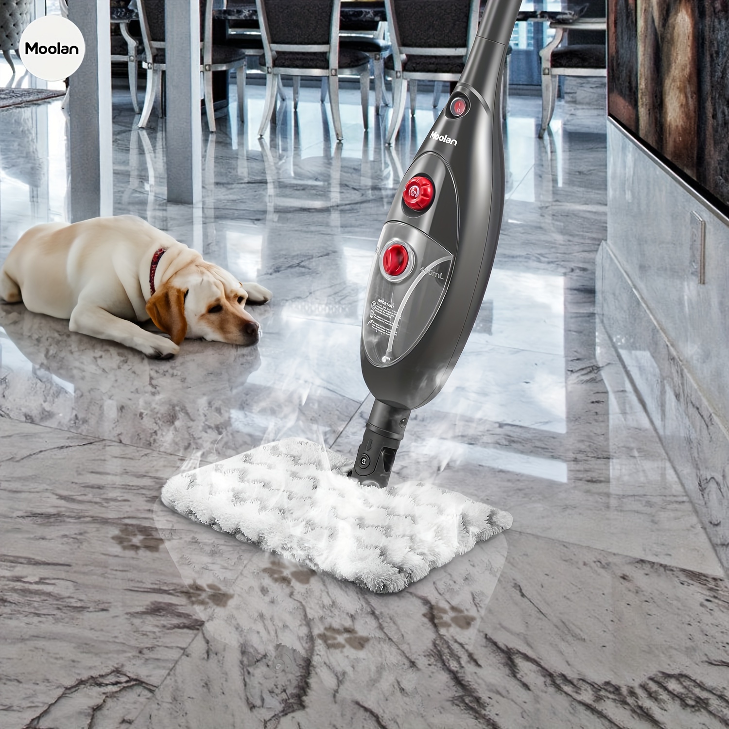Steam mop hardwood store