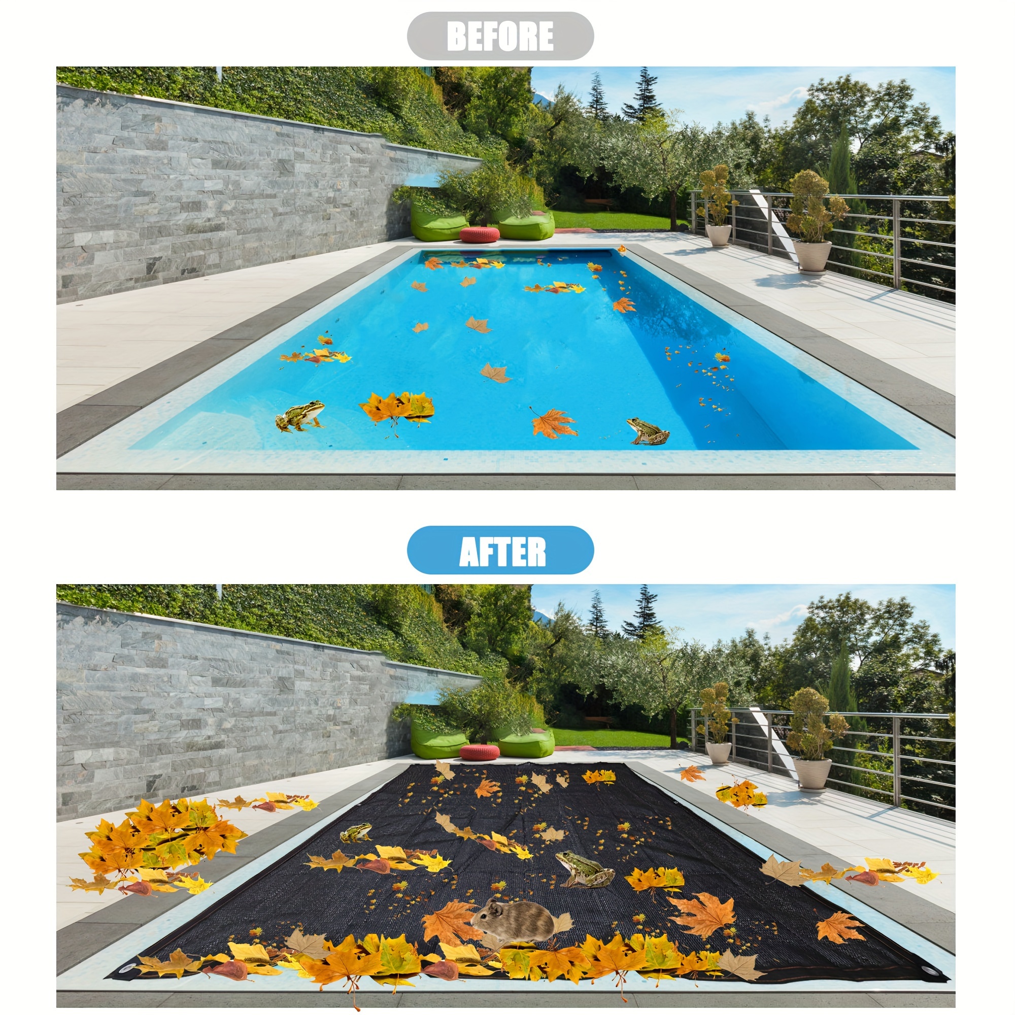 Swimming Pool Cleaning Kit EPCDBBRT Pool Cleaning Kit - 2 Floor Brushes ...