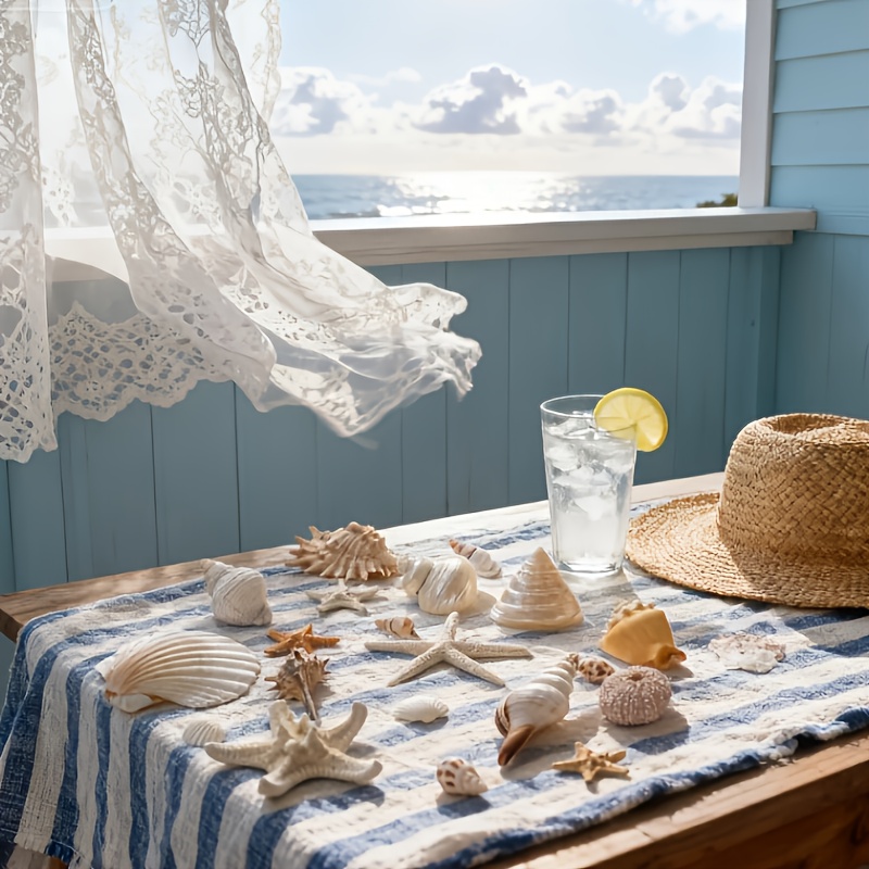 sea shells sold on Temu United States