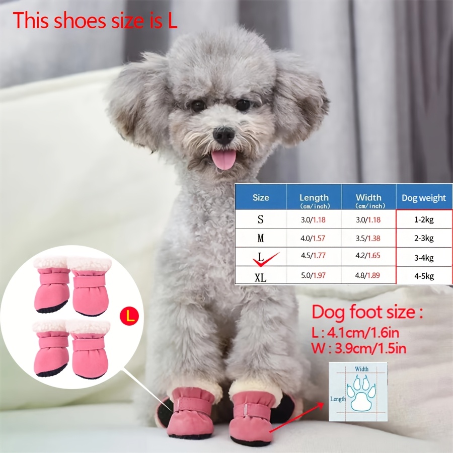 Little dog boots store
