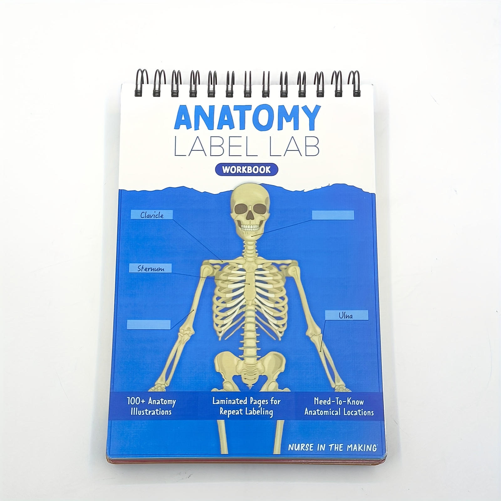 Anatomy Label Book ,100+ Full-Color Dry-Erase Pages, Interactive ...