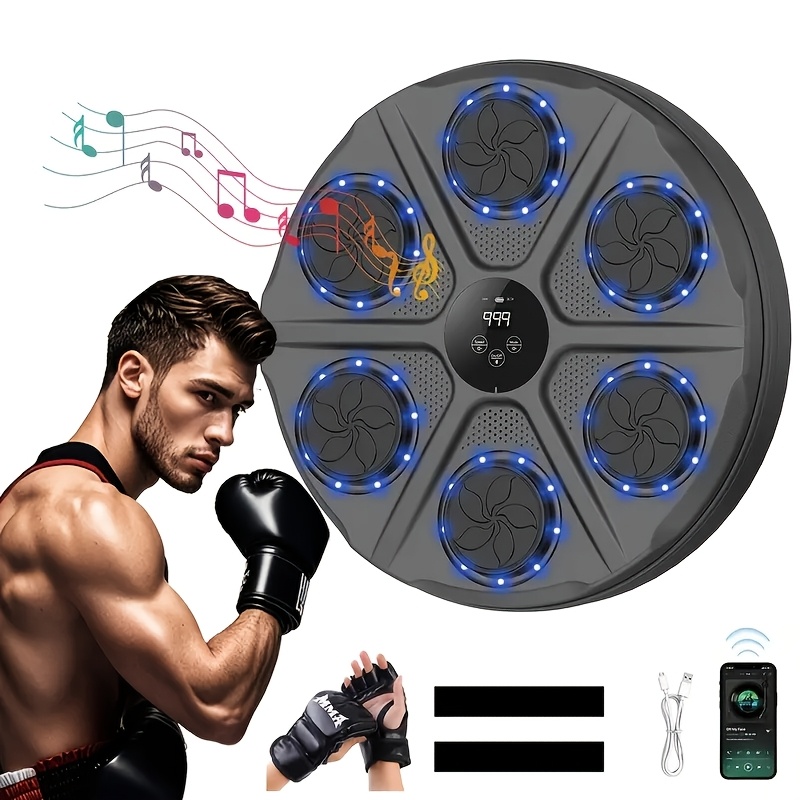 electronic boxing trainer sold on Temu United States