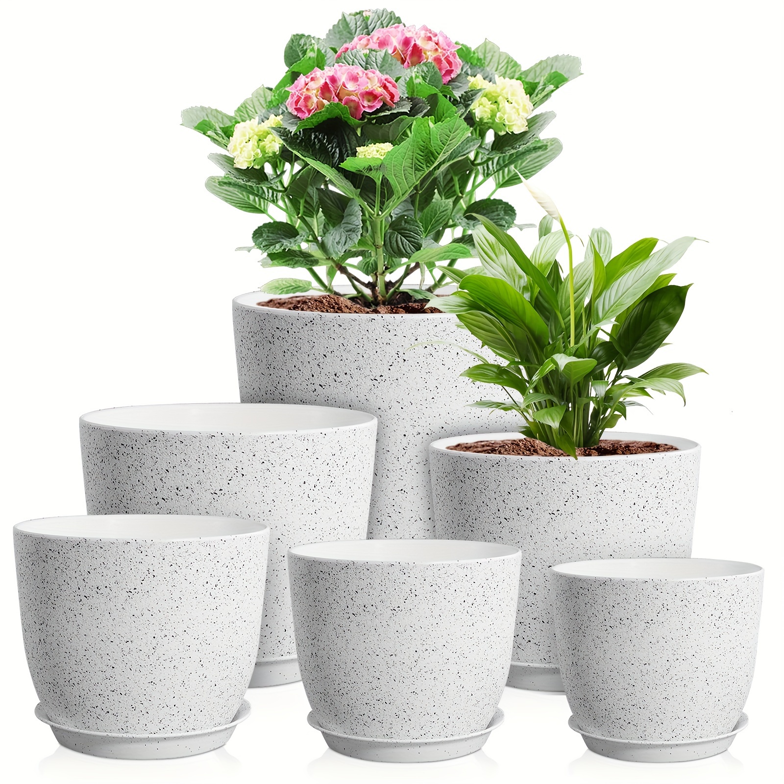 pots for plants sold on Temu New Zealand
